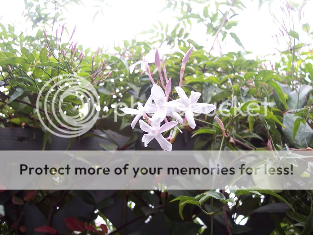 Act Help: - Casio CFX/AFX/FX/Prizm - Universal Casio Forum