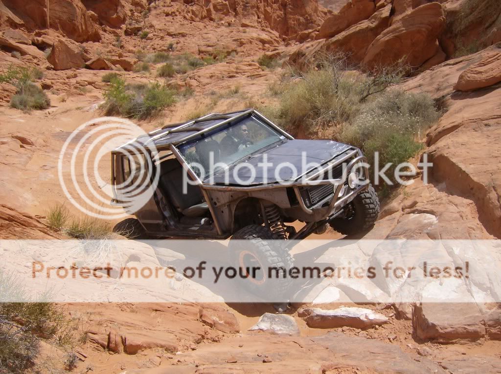 Building an Exo-cage for a friend ... help out with some pics! | Page 2 ...