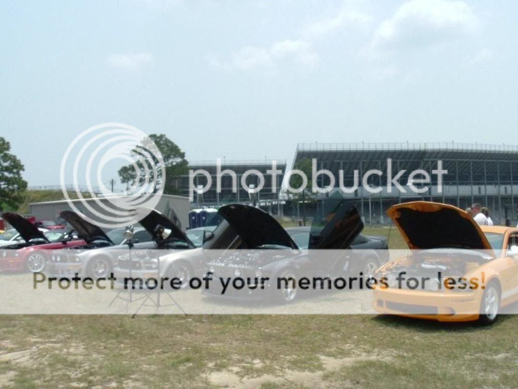 Photos from Super Stang Fest | Modded Mustang Forums