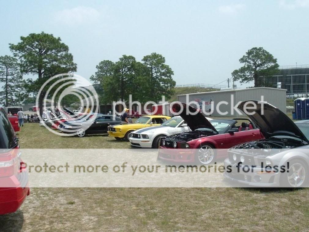 Photos from Super Stang Fest | Modded Mustang Forums