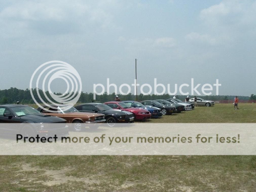 Photos from Super Stang Fest | Modded Mustang Forums