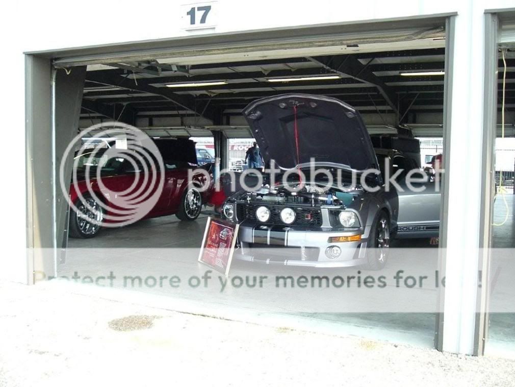 Photos from Super Stang Fest | Modded Mustang Forums