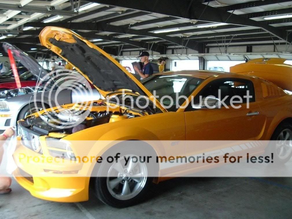 Photos from Super Stang Fest | Modded Mustang Forums