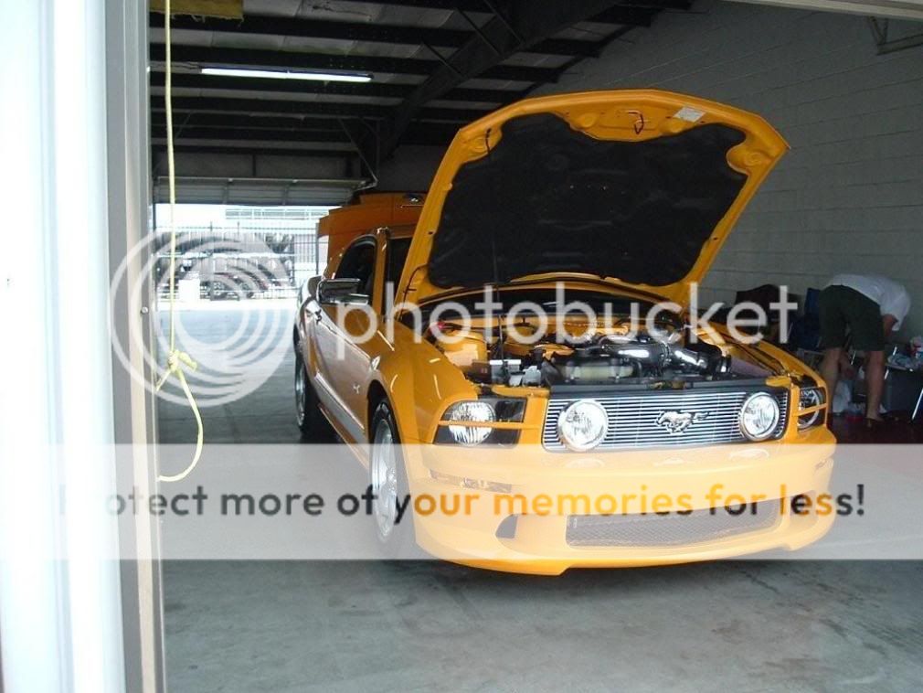 Photos from Super Stang Fest | Modded Mustang Forums