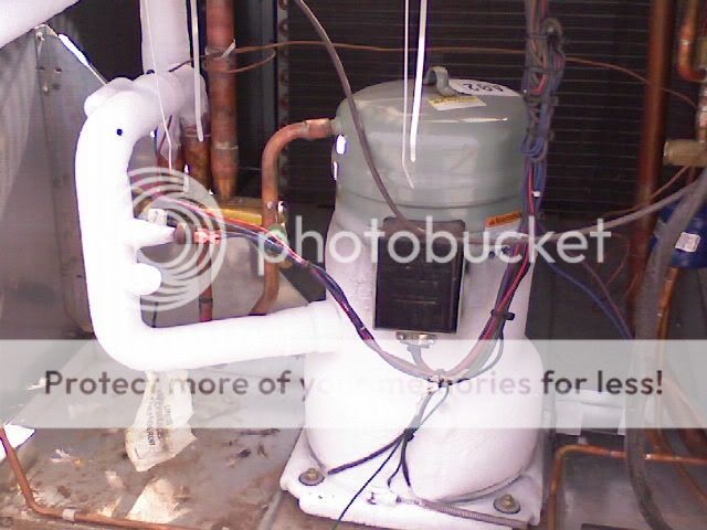 Trane VS Birds - Page 2